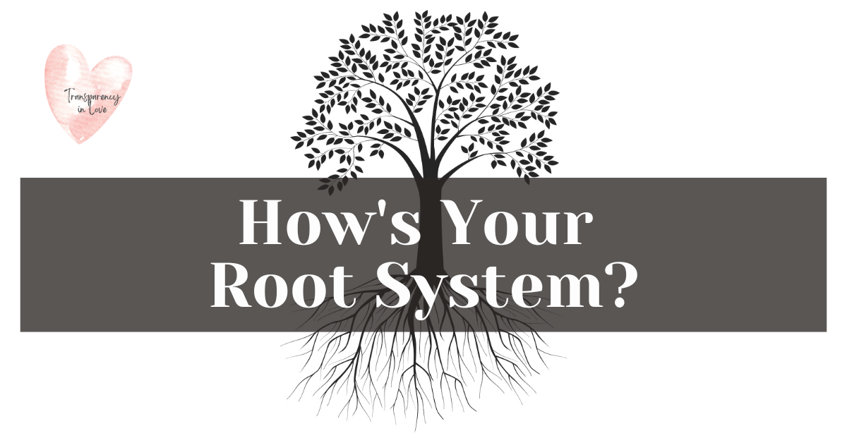 How’s Your Root System? – TRANSPARENCY IN LOVE